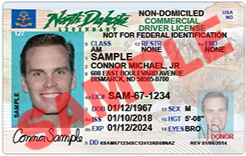 Driver License and Non-Driver ID | NDDOT